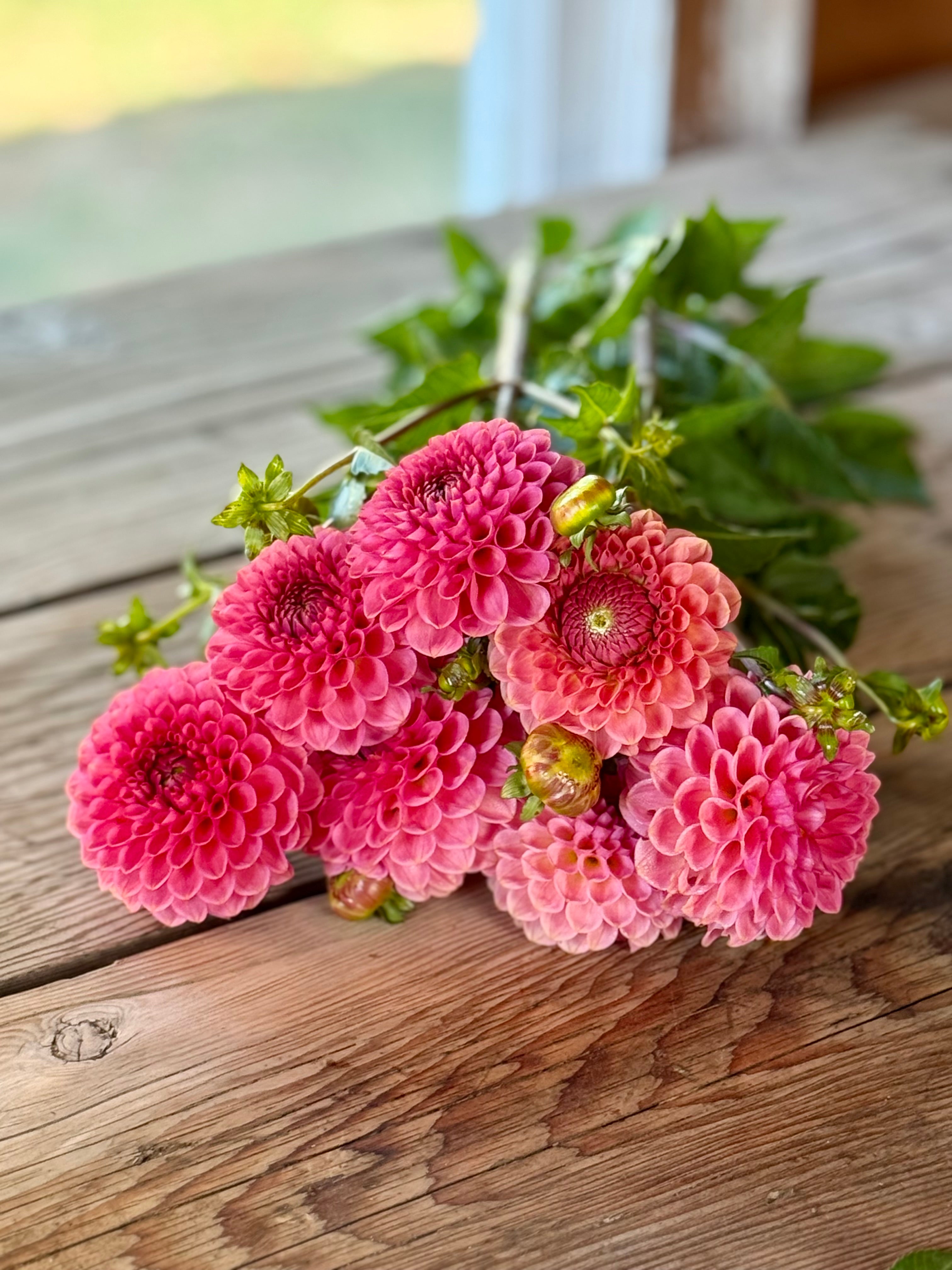 20th Ave Softer Peach – Muddy Hill Flower Farm